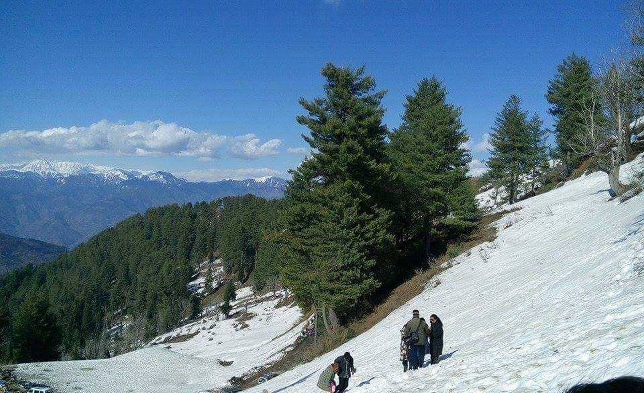 Patnitop Katra 3 Nights 4 Days Holiday Tour Package | Flamingo Travels